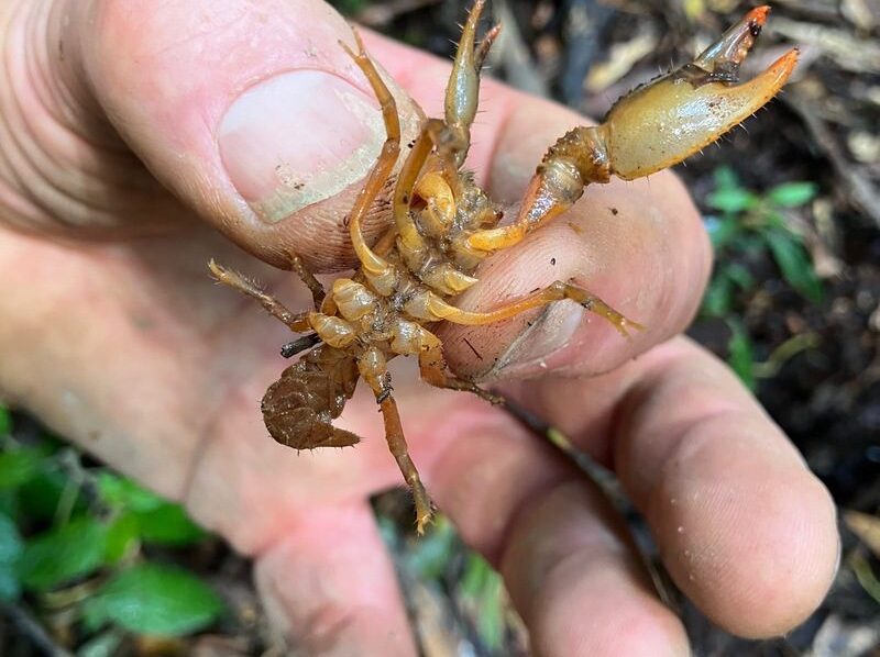 Bringing landholders and the local community to act for nature.